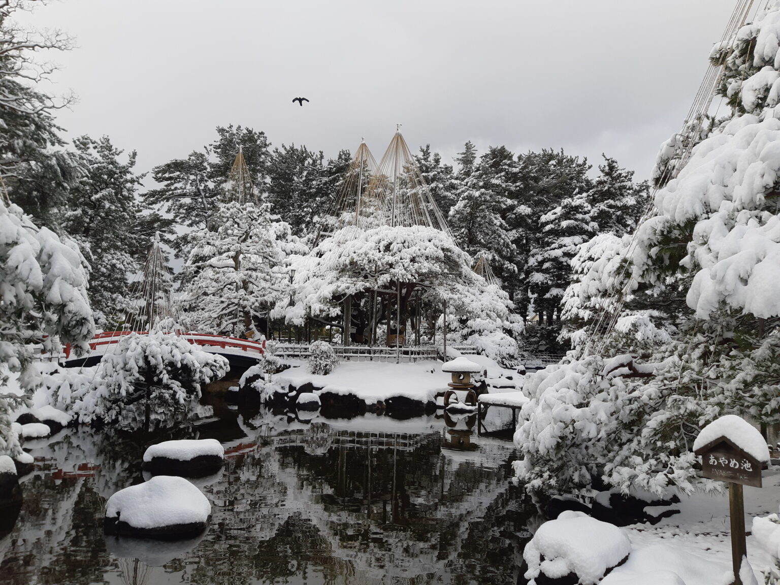 Little Local Finds: Winter Wonderlands | EXPLORE KOMATSU